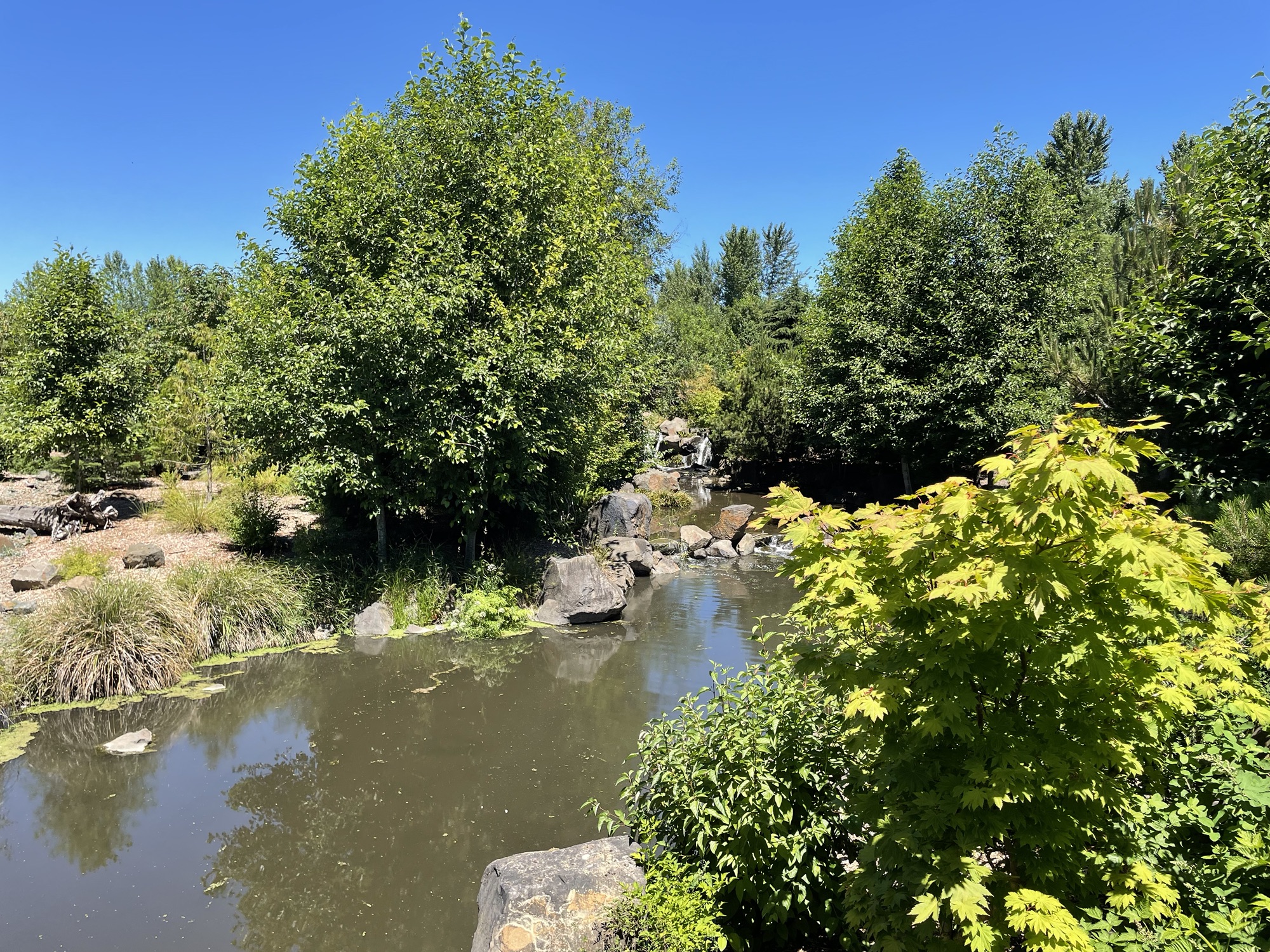 Self Care Nation | mermaidcamp