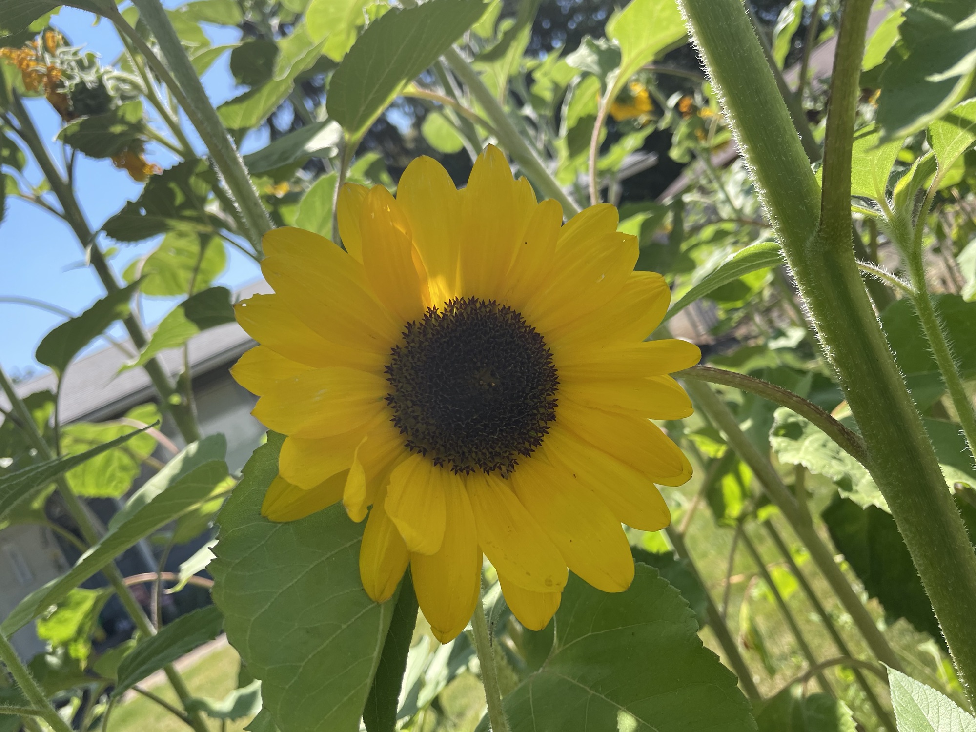 Outside Influences | mermaidcamp